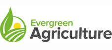 Evergreen Agriculture – Healthy nutrition begins with quality ...